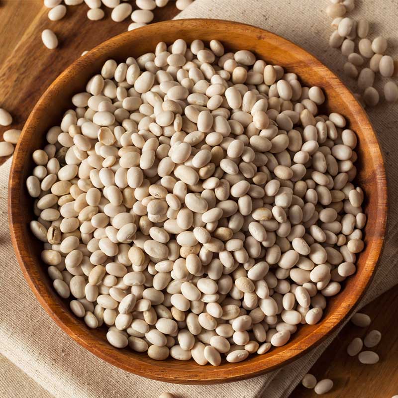 Navy Beans | InfraReady Products